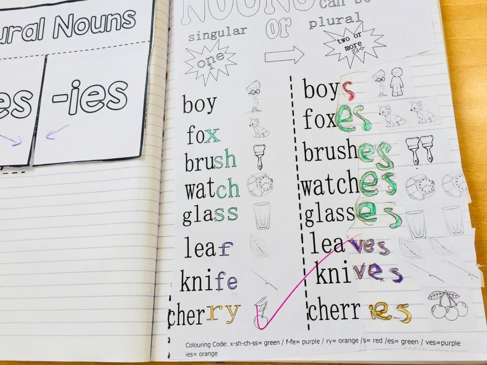 Mouse~Mice Foot~Feet Child~Children Plurals- introduced, studied ...